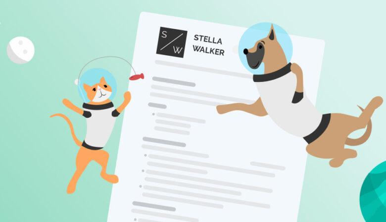 Resume Professional Summary Guide & Examples | ResumeNerd