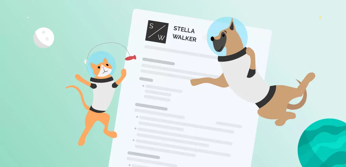 Funny Resumes & Choosing a Resume Style | ResumeNerd